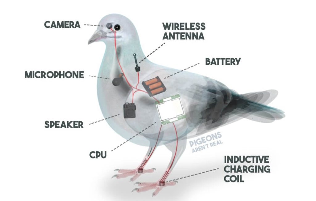 Parodi Komplo Teorisi: "Kuşlar Gerçek Değildir" - Malumatfuruş