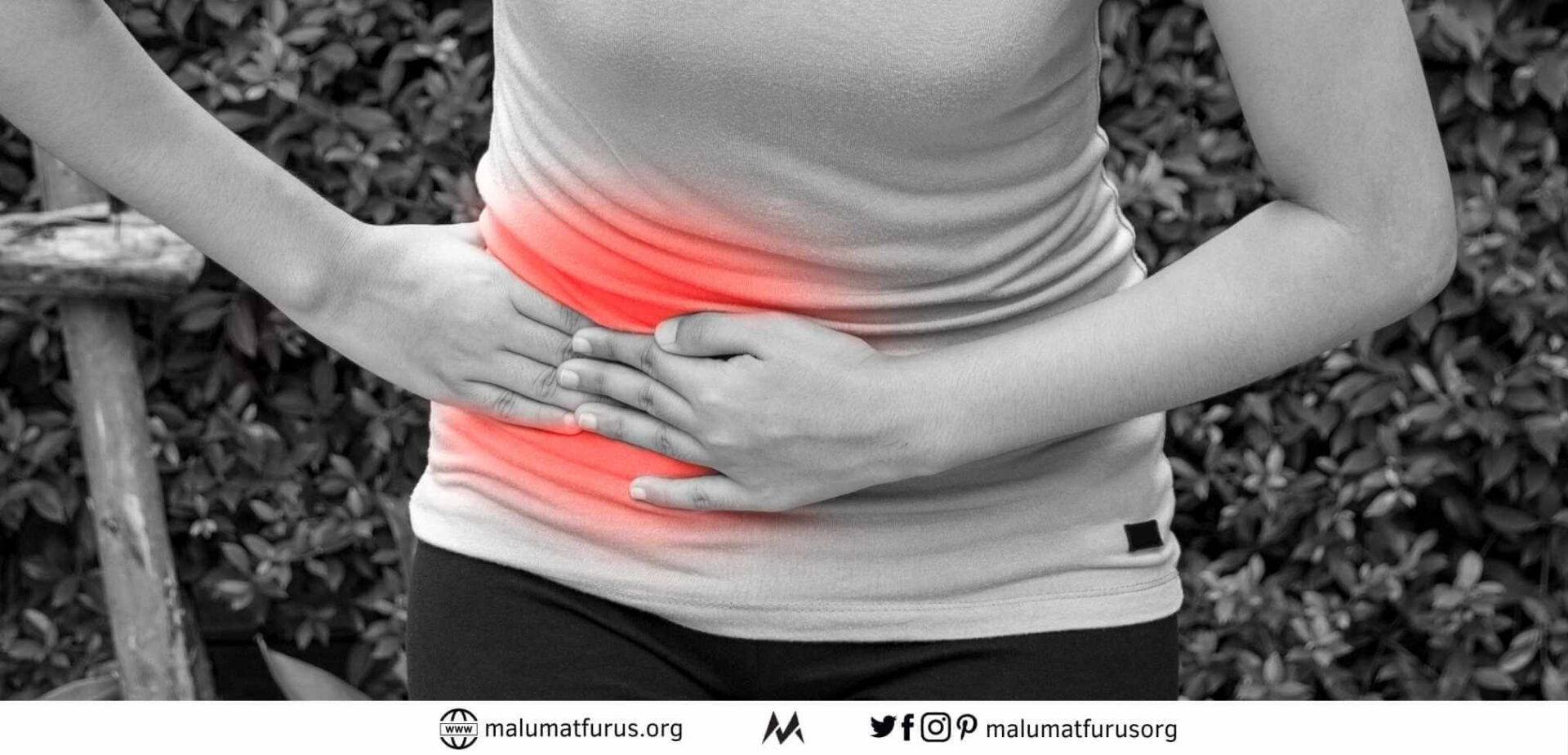 Apandis - Apandisit Farkı - Malumatfuruş