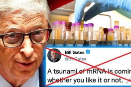 Gerçek Sanılan "Pizza Çalan Martı" Videosu - Malumatfuruş