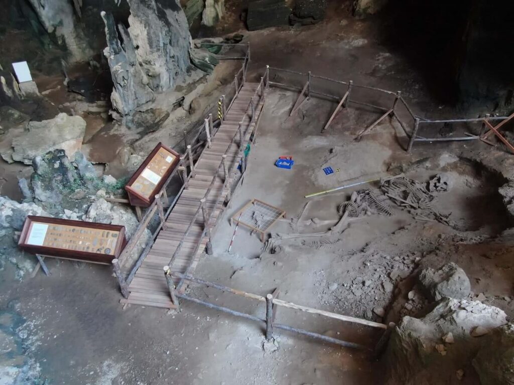 Tayland'da Bir Mağarada Bulunduğu Sanılan Dev İnsan İskeleti - Malumatfuruş