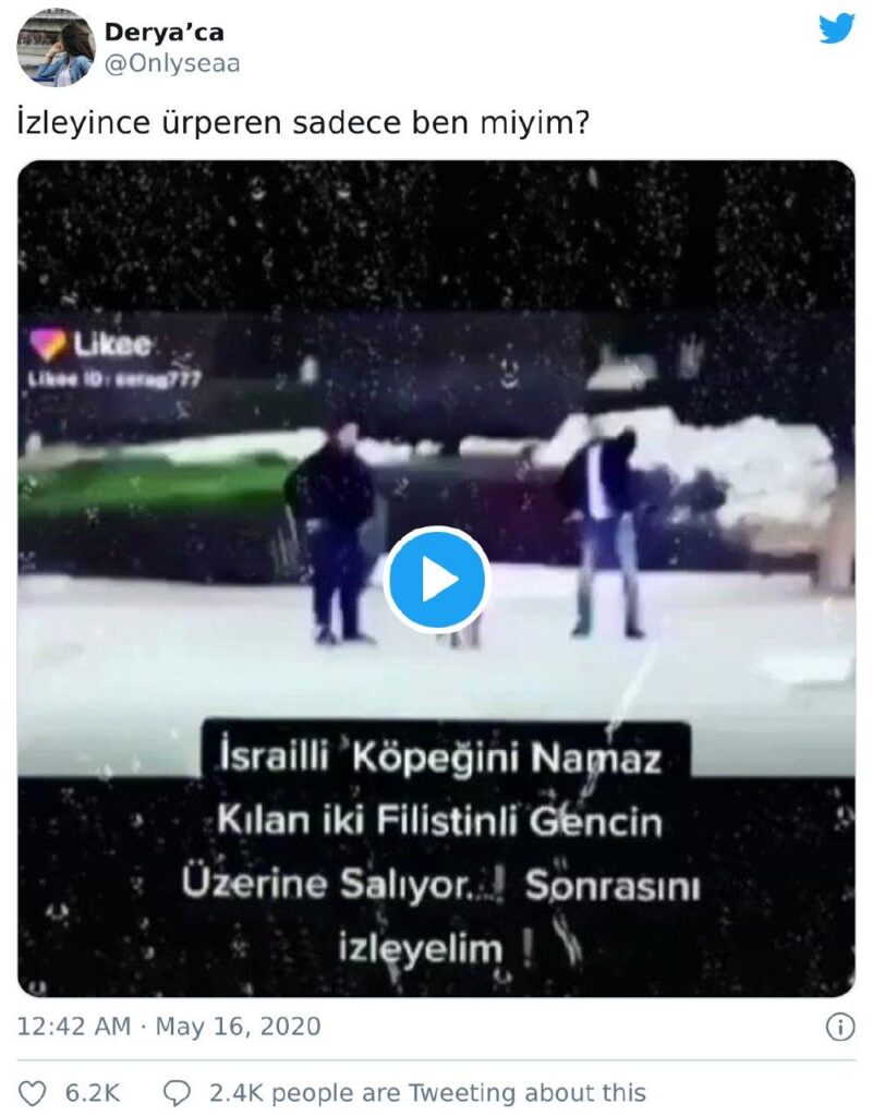 İsraillilerin Namaz Kılan Filistinlilerin Üzerine Köpek Saldırttığı Ana