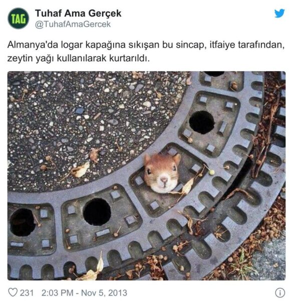 Logar Kapağı Mı? Rögar Kapağı Mı? - Malumatfuruş